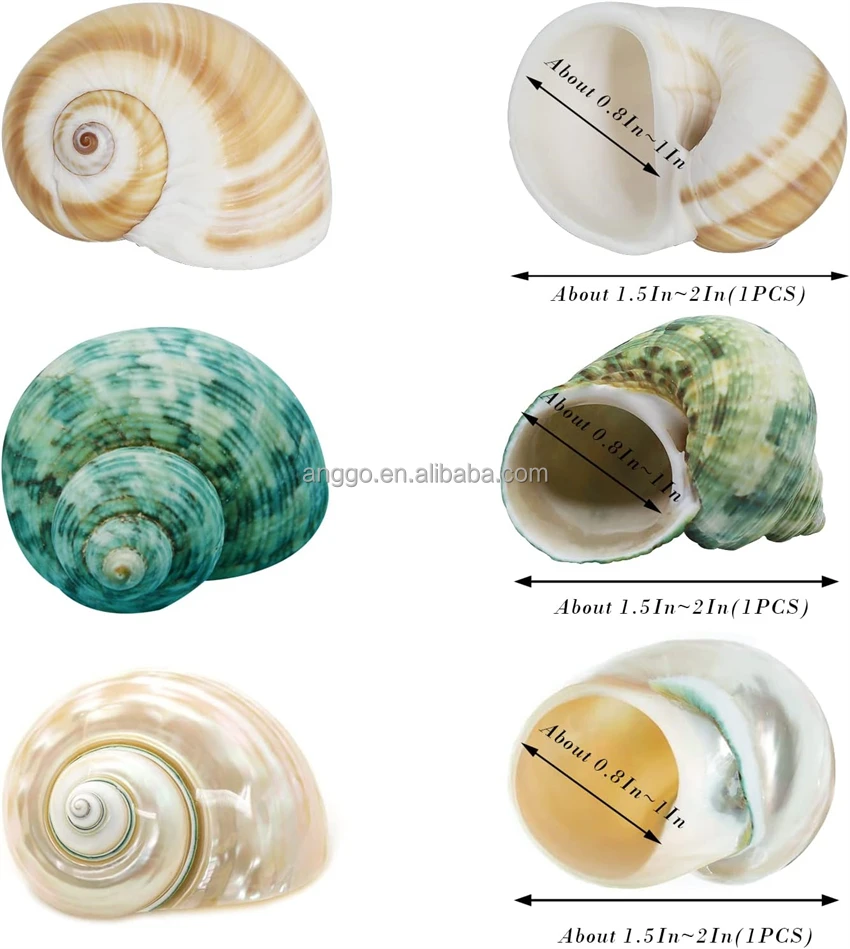 Fish Tank Decorative Materials Natural Aquarium Microlandscape Hermit ...