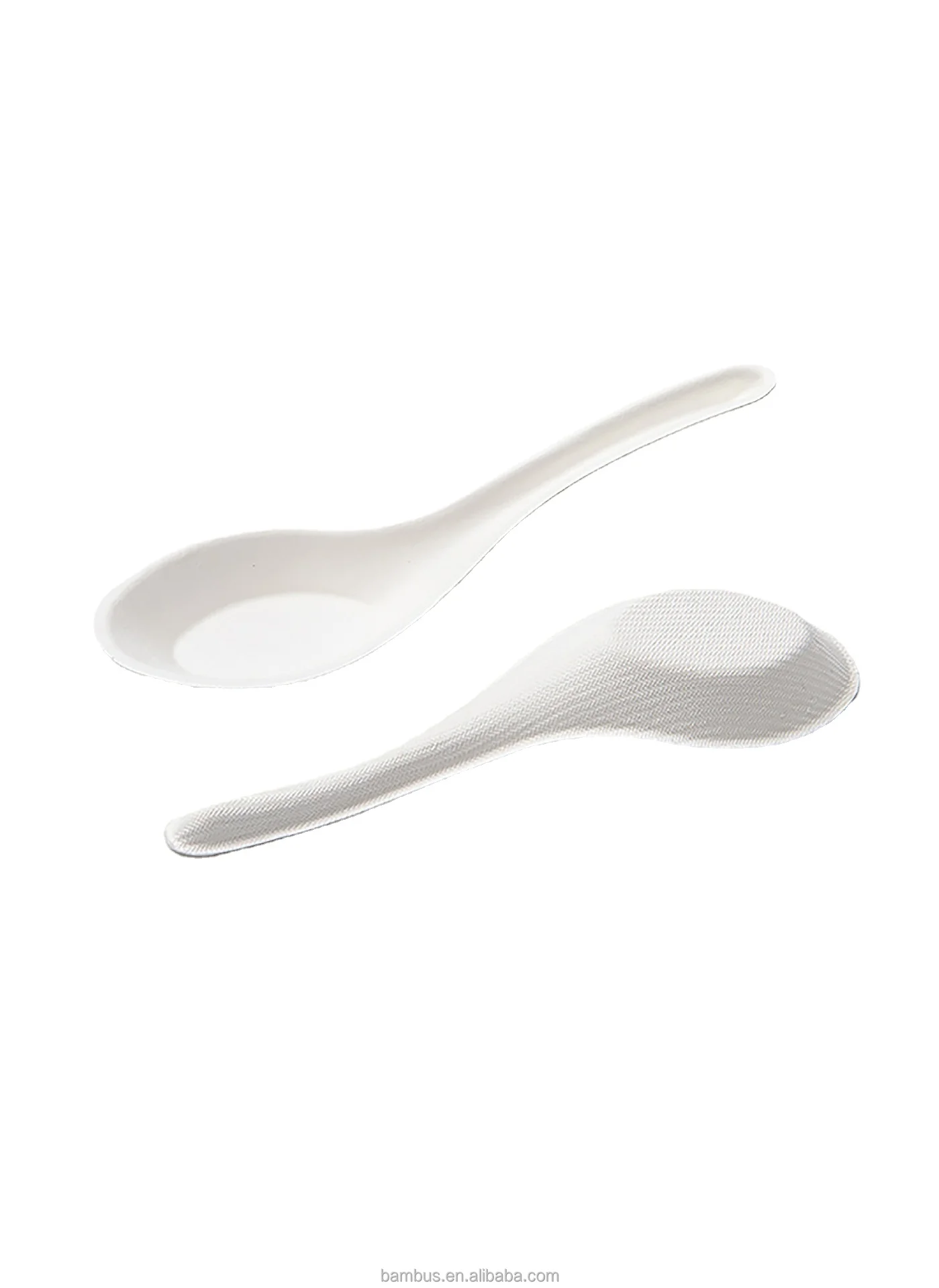 Bambus 100% Bagasse Sugarcane Biodegradable Tableware Disposable ...