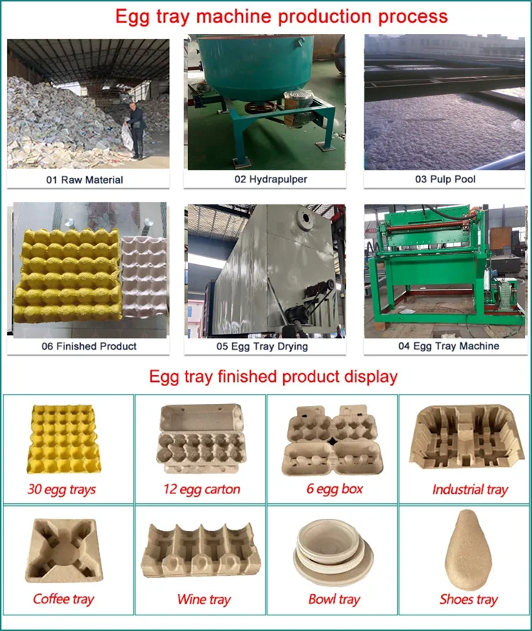 All In One Frame Installation Free Fruit Tray Egg Tray Making Machine ...