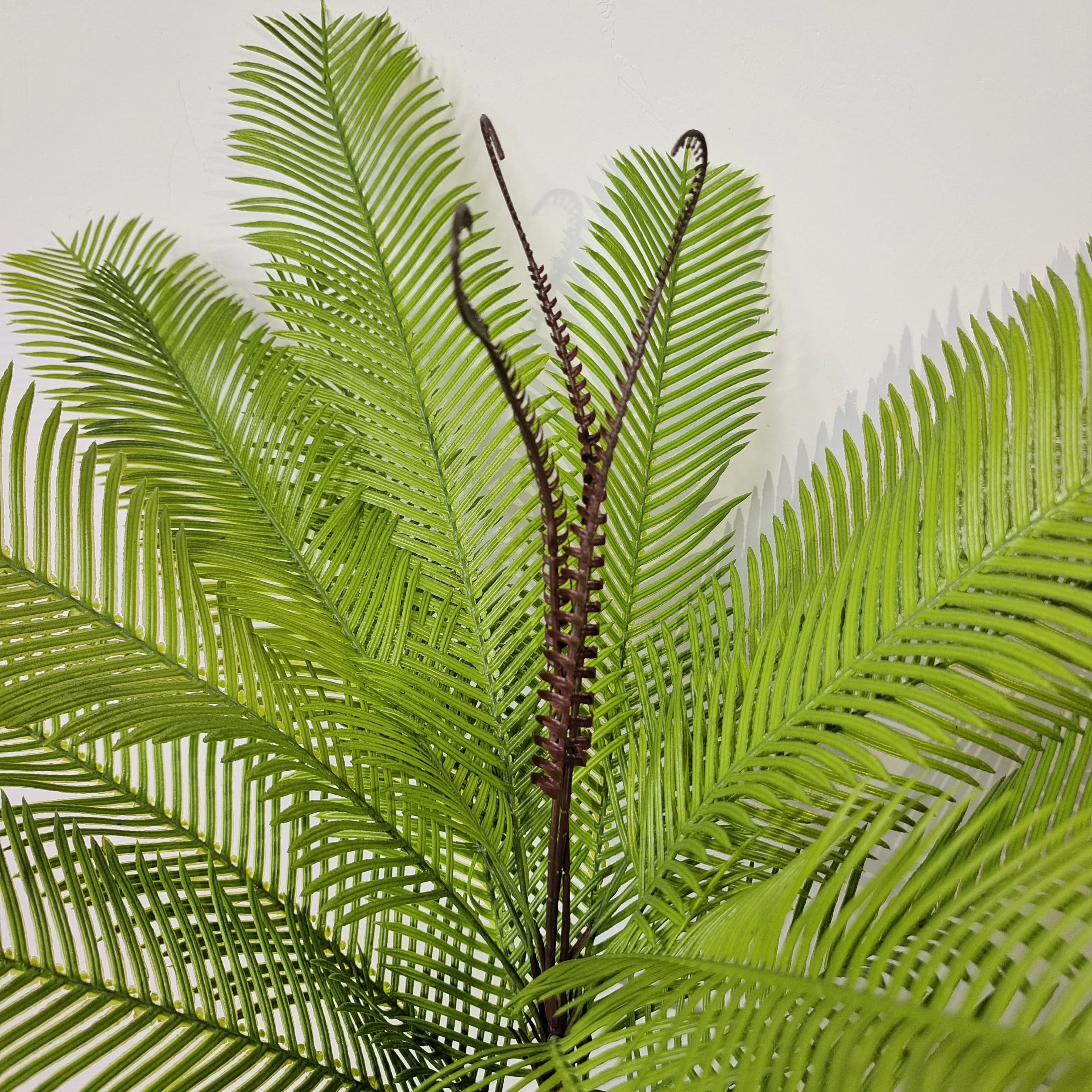 Hotsale Real Touch Simulated Green Pot Bonsai-spiny Tree Fern (cyathea ...