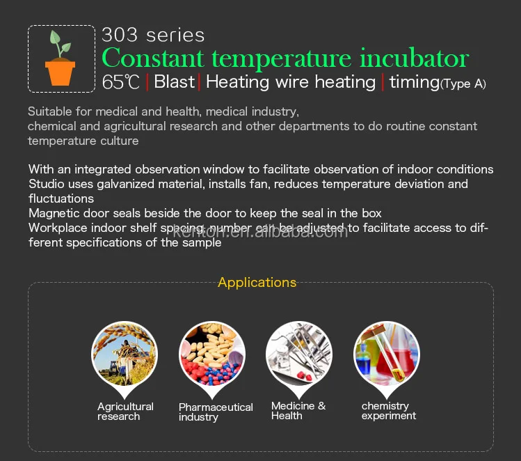 Mini Incubator Laboratory Incubators for Bacterial Devices