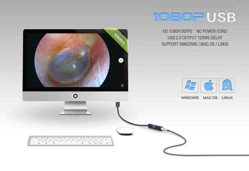 CMOS 720P Endoscopy Camera Portable USB Endoscope Imaging System for ...