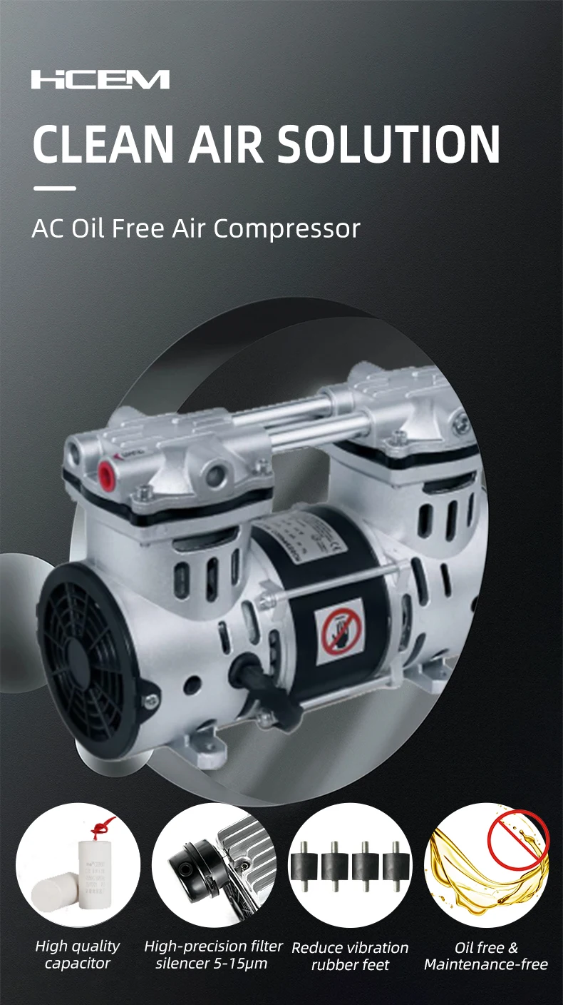 Ac Power Medical Ozone Generator Compressor Machine 200kpa 110l/min Gas ...