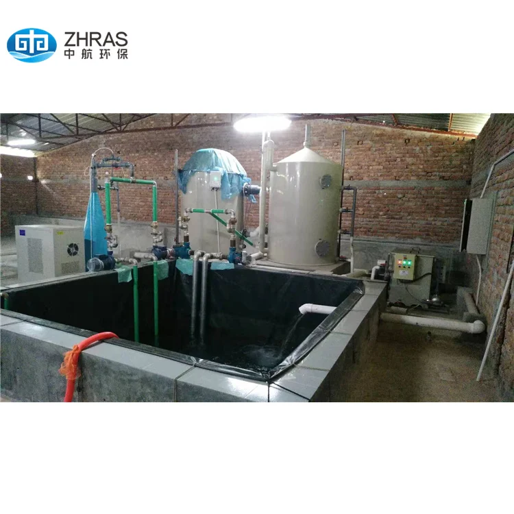 Bangladesh Project Design Ras System Equipment Set For Tilapia Shrimp ...