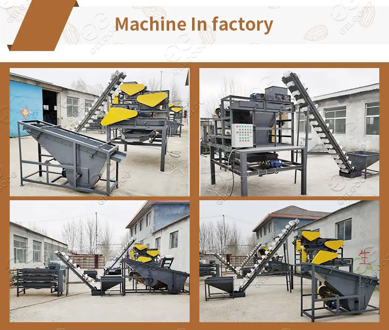 High Quality Pistachio Cracking Hazelnut Cracker Processing Palm Kernel Shell Remover Sorting ...