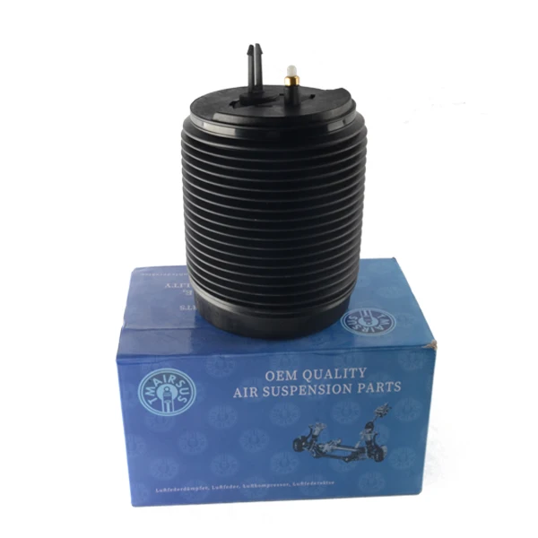 Car Air Springs Rear Air Spring Air Ride Suspension Kits Oem 31451888 ...