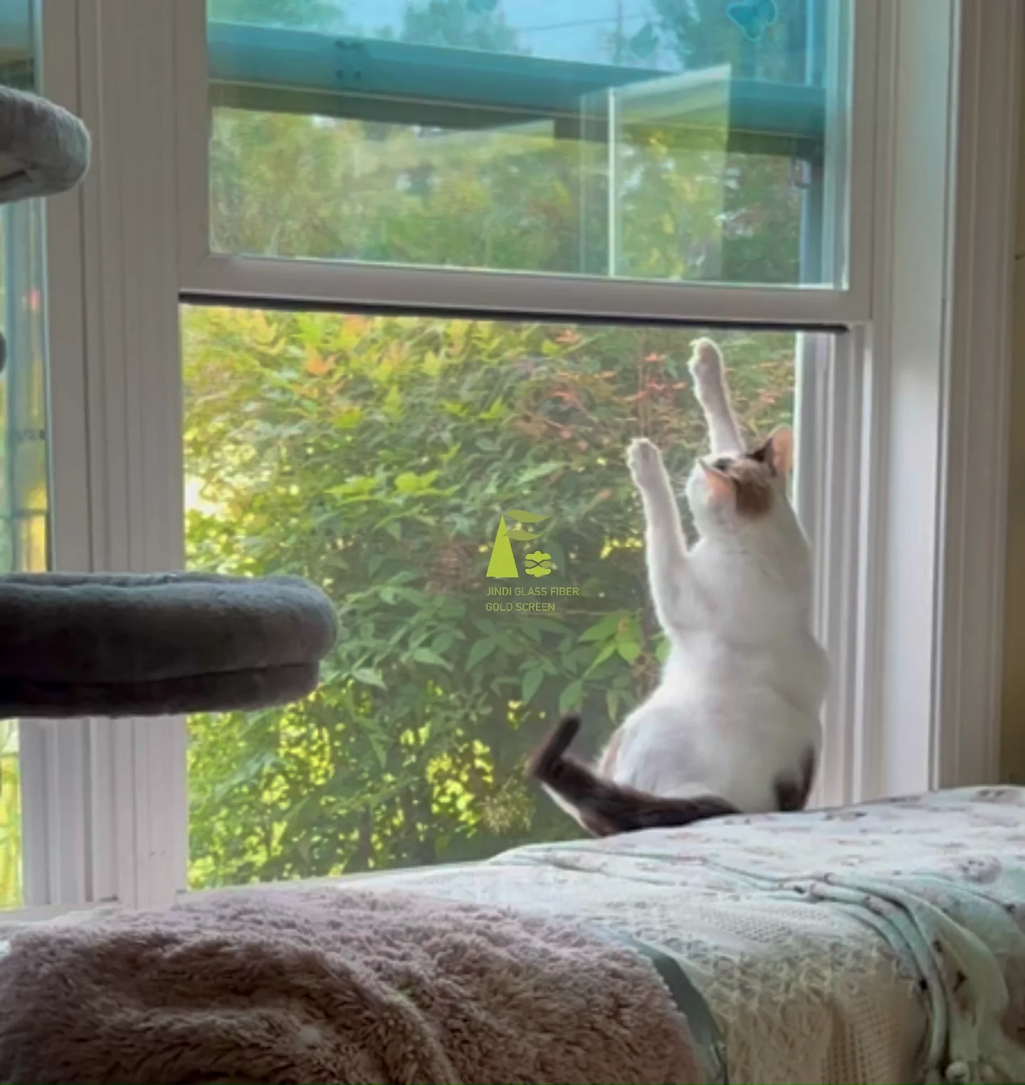 Jindi Fire Resistant Cat Proof Window Screens Pet Resistant Mesh Vinyl ...