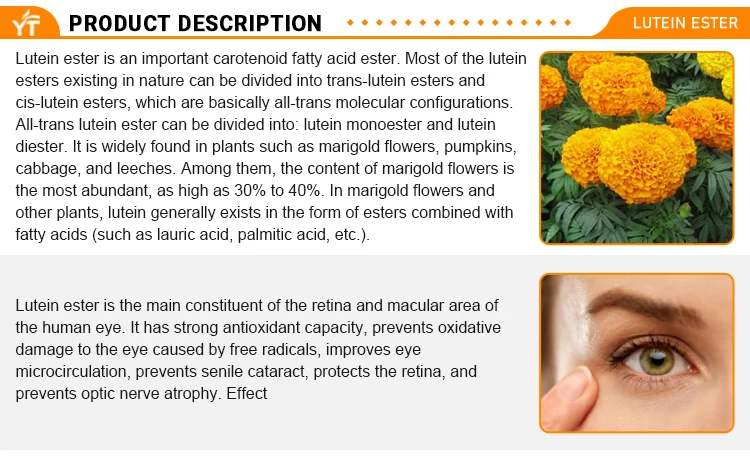 Lutein Ester Lutein Powder Marigold Flower Extract 80% Lutein Ester Powder - Buy Lutein Ester,80 ...