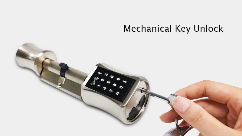 Euro Cylinder Smart Lock Ttlock App Fingerprint Password Card Key ...