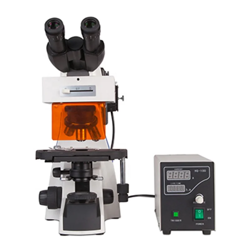 FM-600 Upright Fluorescence Microscope - 4X to 100X Magnification
