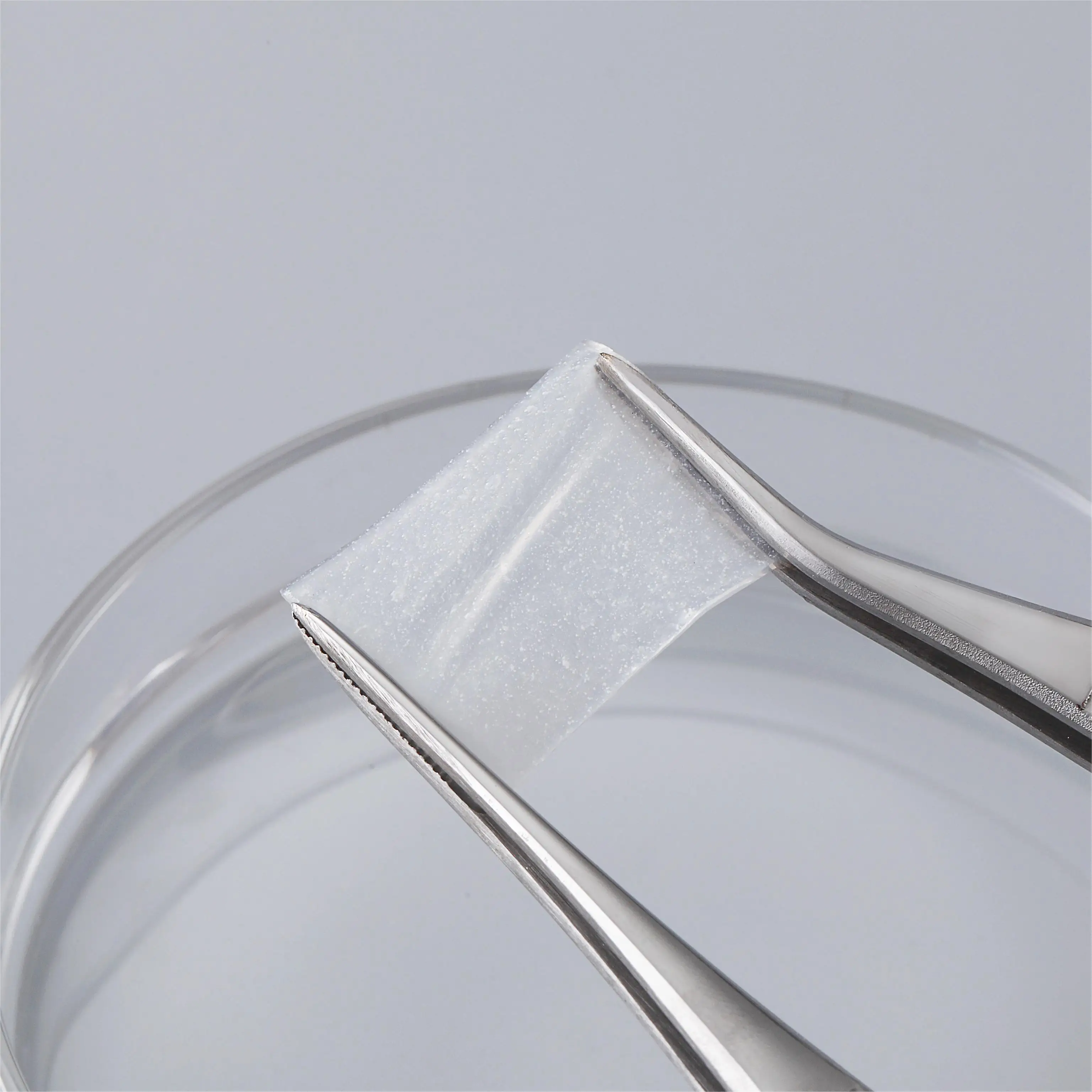Bone Membrane (GBR) - Absorbable Collagen for Orthopedic Surgery