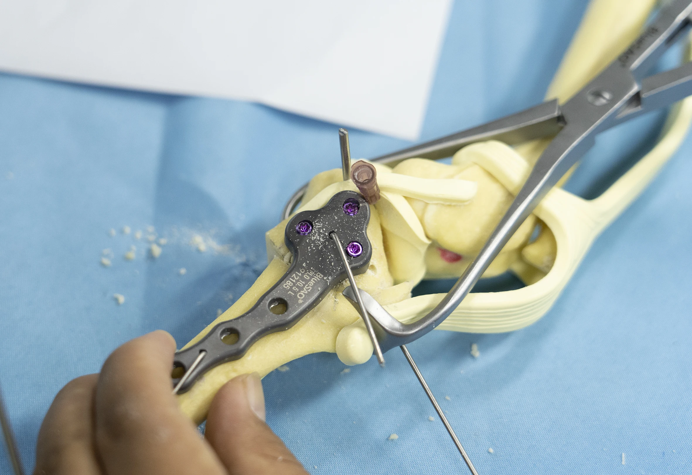 Bluesao Veterinary TPLO Kit - Orthopedic Implants & Instruments