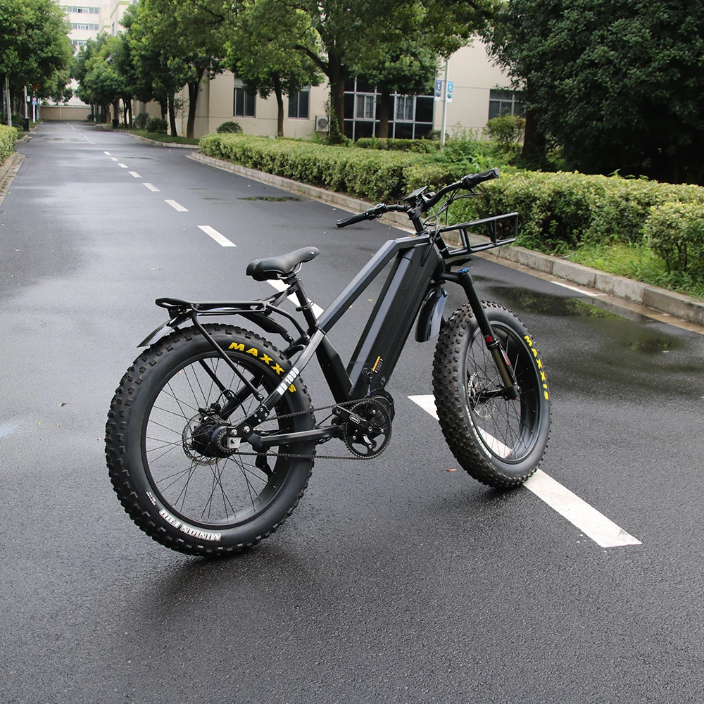 2023 Cheap Belt Drive Md1000 Mid Drive 48v Electric Fat Bike 1000w ...