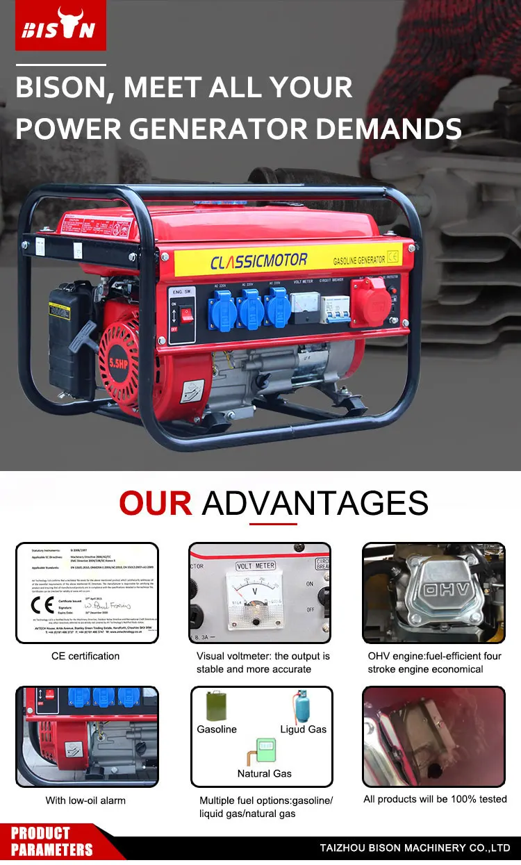 Bison(china) Swiss Kraft Sk Electric Generators 8500w Professional With ...