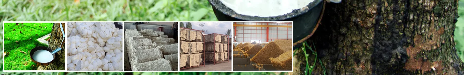 Zhanjiang Weida Machinery Industrial Co., Ltd. - Natural Rubber ...