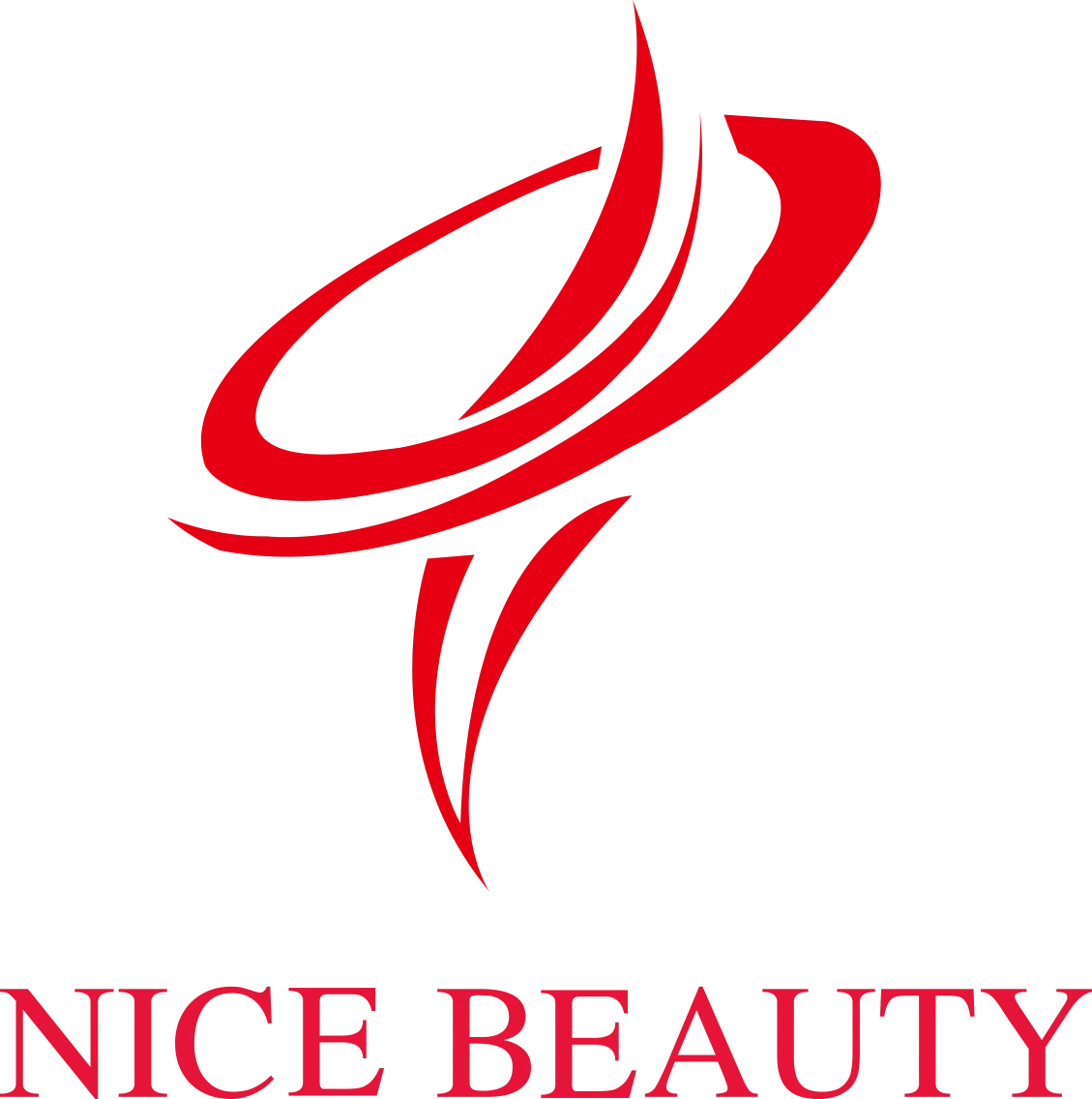Company Overview - Shenzhen Nicebeauty Technology Co., Ltd.