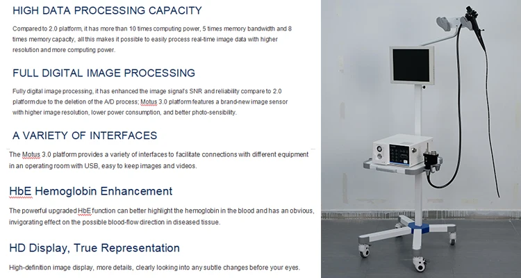 Ysenmed Endoscope Flexible High Definition Veterinary Video Camera ...