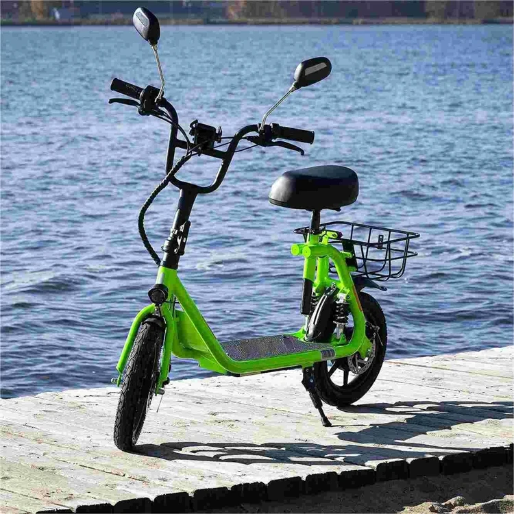 USA Warehouse Scooter Electrique Removable Lithium Battery 500W 800W ...
