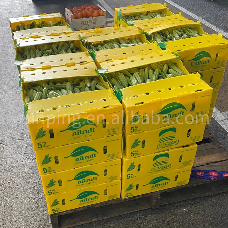 Fresh Okra recyclable Durable plastic packaging boxes PP polypropylene ...