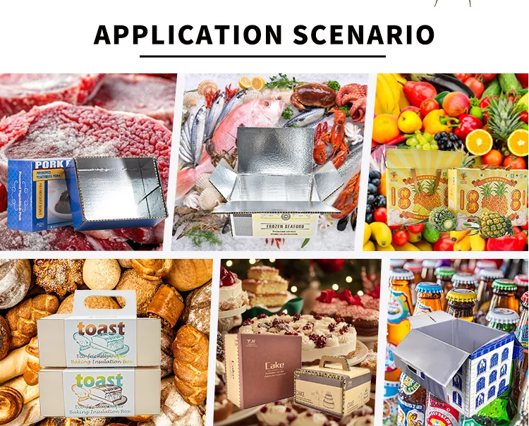 Insulated Frozen Food Packaging Boxes - Efficient & Durable