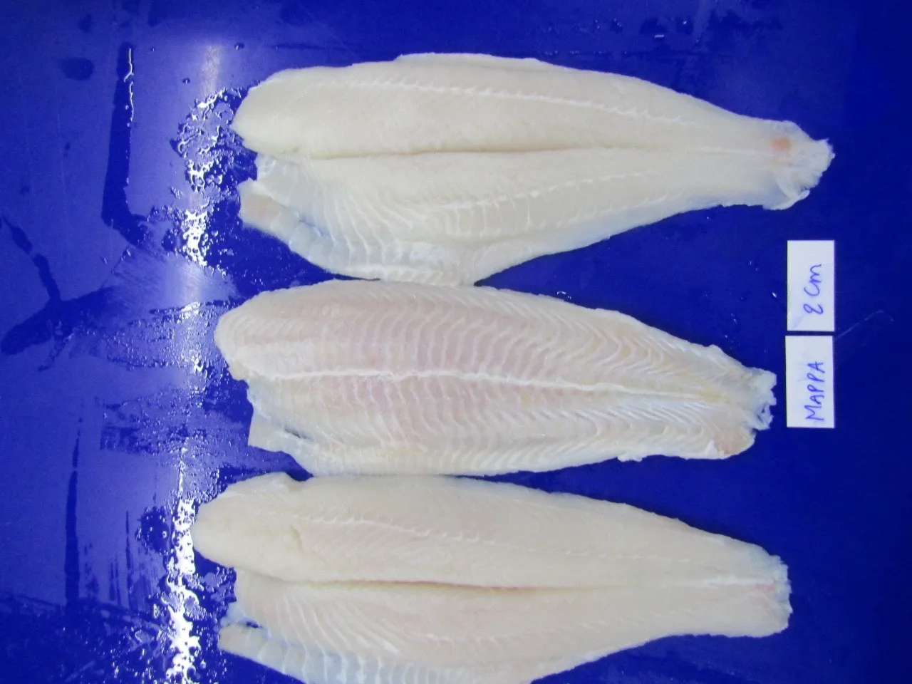 Frozen Pangasius Fillet In Fish Basa High Quality Vietnam - Buy Basa ...