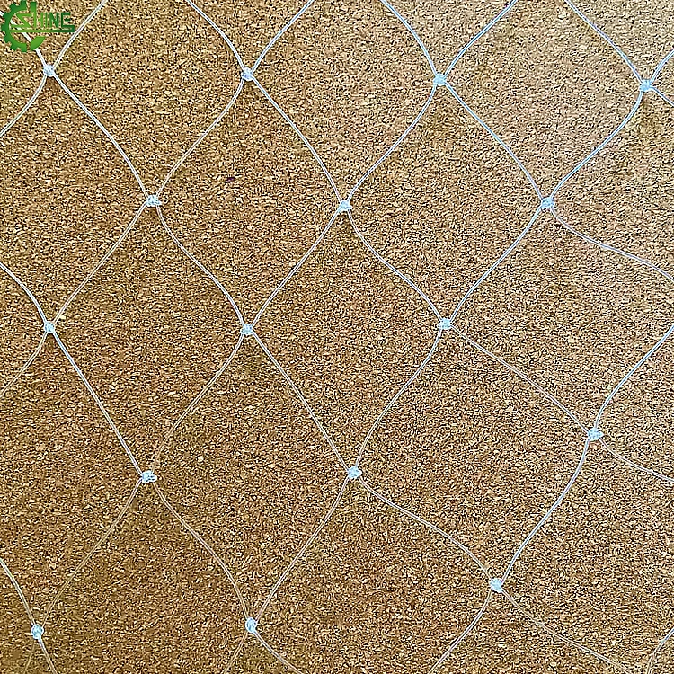 Biaxial Oriented Vine Fixing Net Outdoor Durable Climbing Net Grape ...