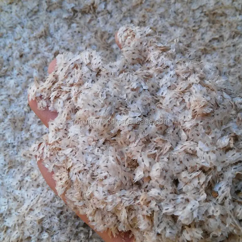 Paulownia Hybrid Breeding Material 9501 9502 9503 from China