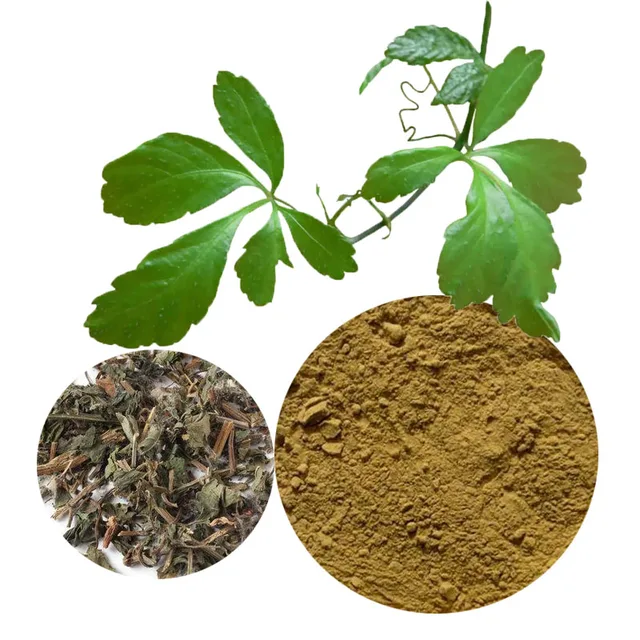 Company Overview - Xi'an Longze Biotechnology Co., Ltd.