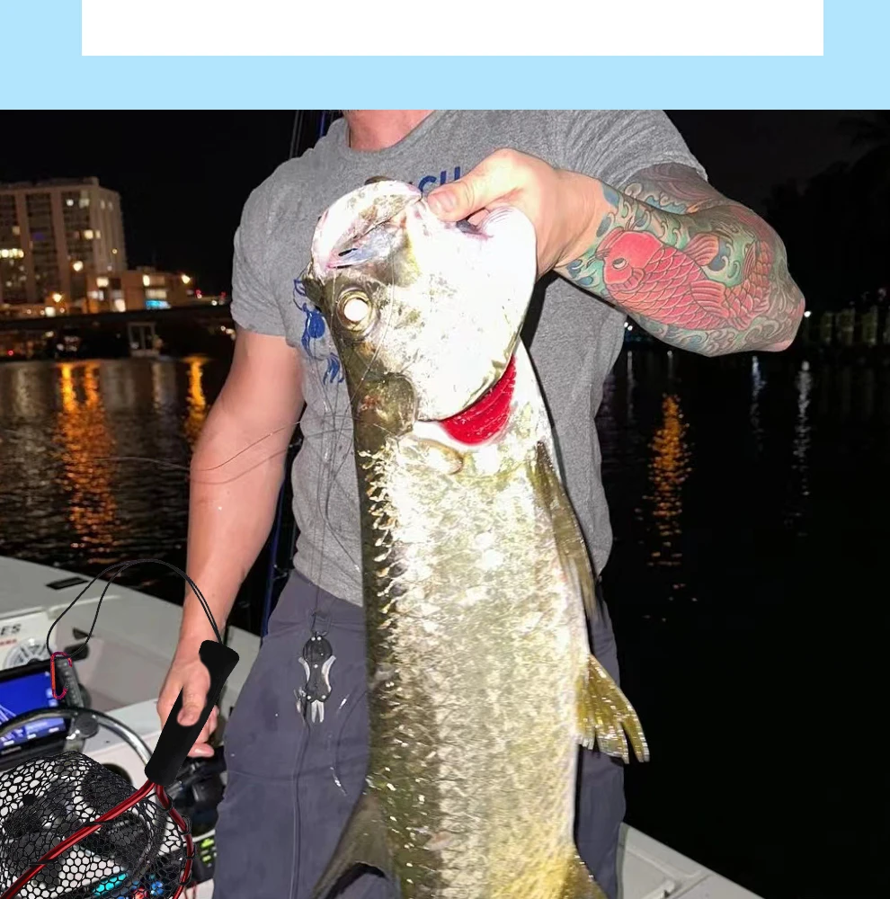 Sp001 Fishing Net Aluminum Material 40cm*35cm Short Handle Telescopic ...