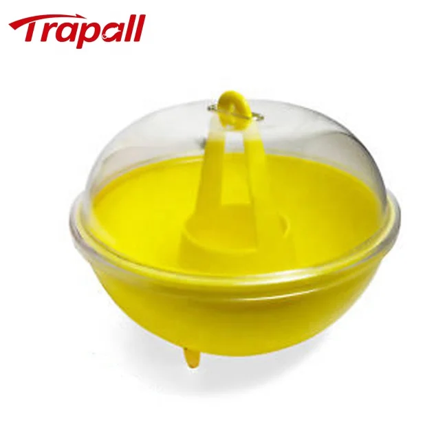 Outdoor Hanging Plastic Dome Shaped Wasp Capture Reusable Hornet Bee ...