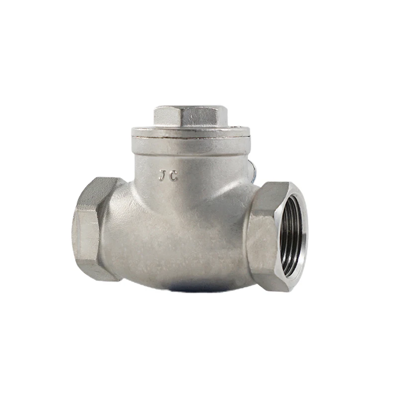 304 316 Stainless Steel Check Valve Dn 8~dn 100 Female Threaded Swing ...