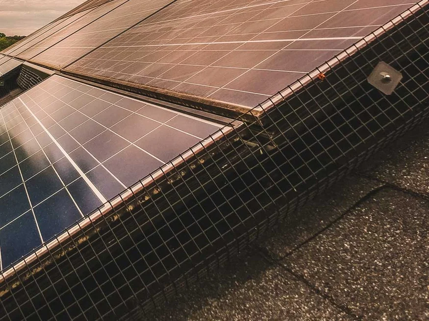 8 Inch X 100 Ft Coated Galvanized Solar Panel Protection Mesh Anti Bird ...