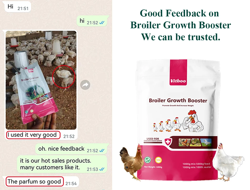 100g Pack Broiler Growth Booster - Fast Weight Gain for Chickens