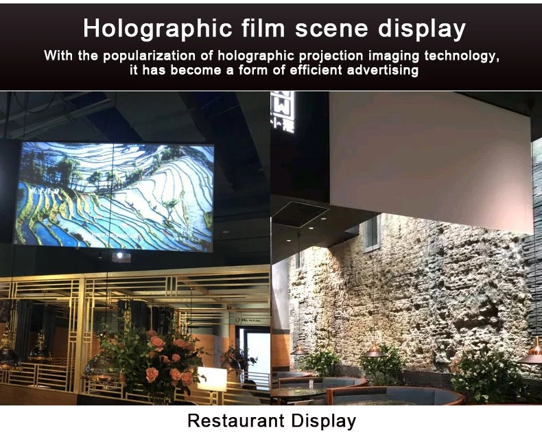 Rear Projection Film Hologram Projector 3d Holographic Projection ...