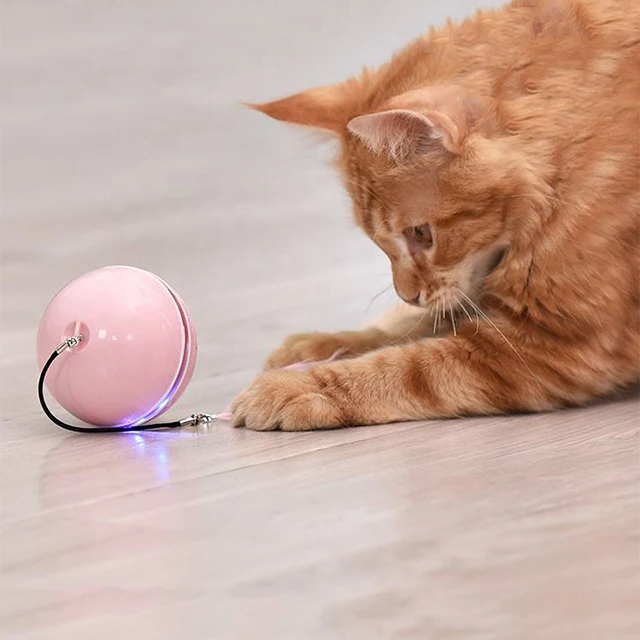 Hot Selling Usb Rechargeable Smart Cat Ball Toy Automatic Spinning ...