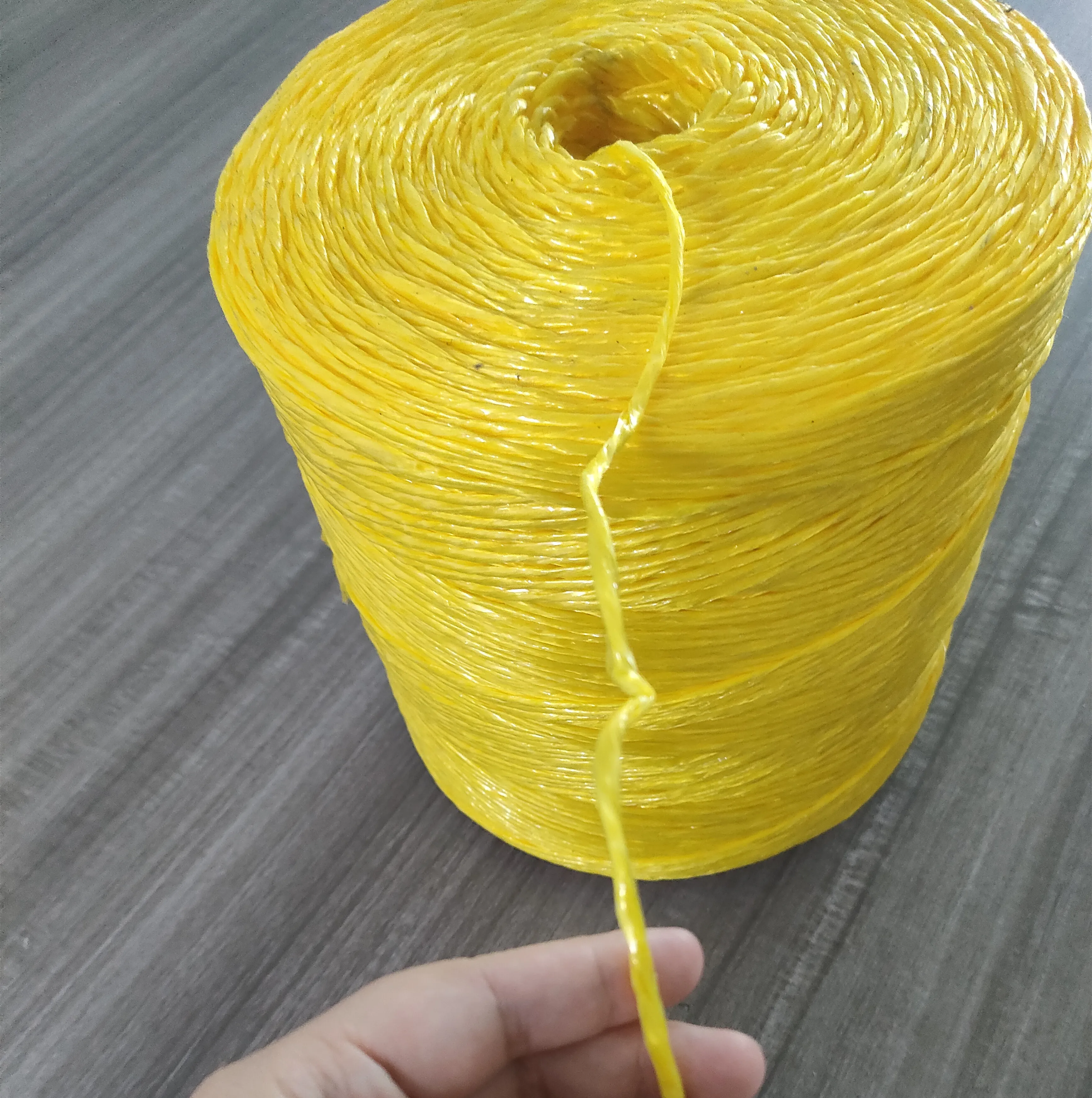 Wholesale Hay Baler Twine Pp Multifila 3 Ply Twist Veget Scrap Twine Pp ...