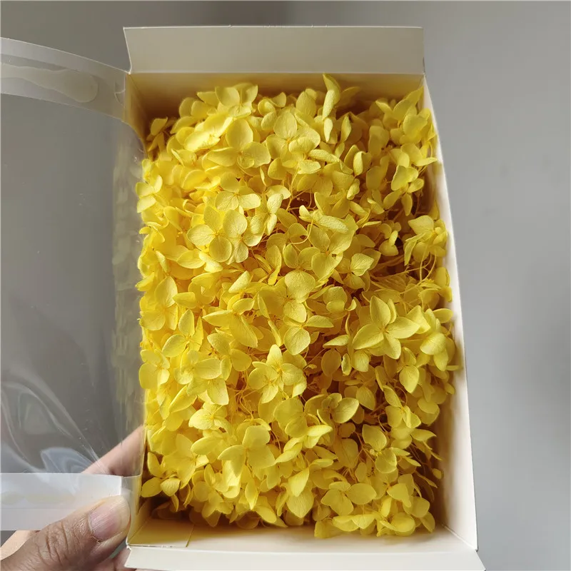Bright And Colorful Preserved Hydrangea Box Can Be Used As Valentine's ...