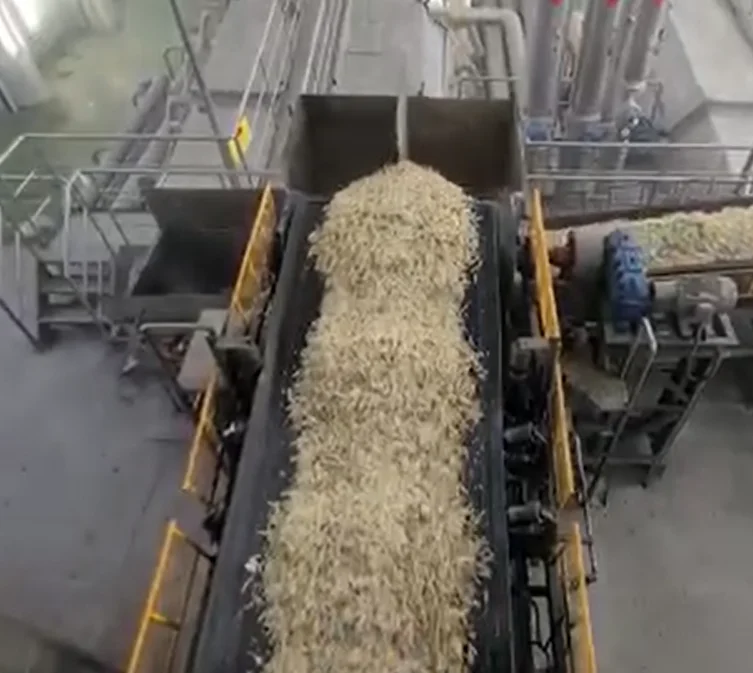 Mini Sugar Mill Plant - Efficient White Sugar Production