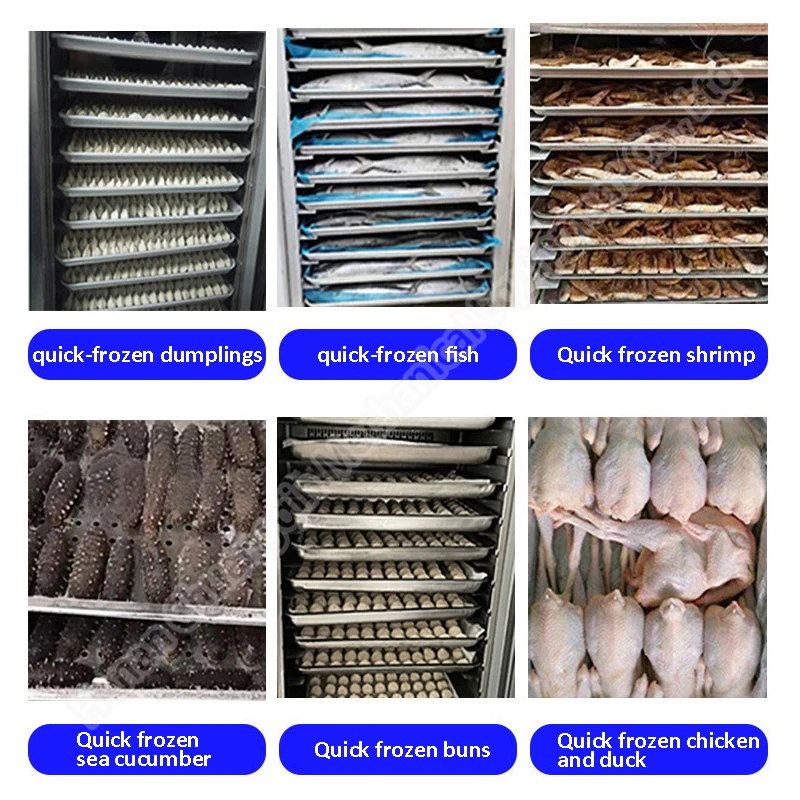 Quick Blast Freezer Quick Freeze Processing Machine Blast Freezer -80 ...