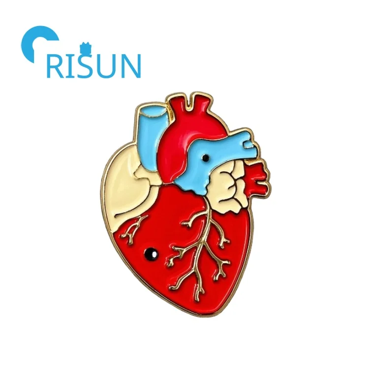 Anatomical Heart Enamel Pins Medical Anatomy Brooch Heart Neurology ...