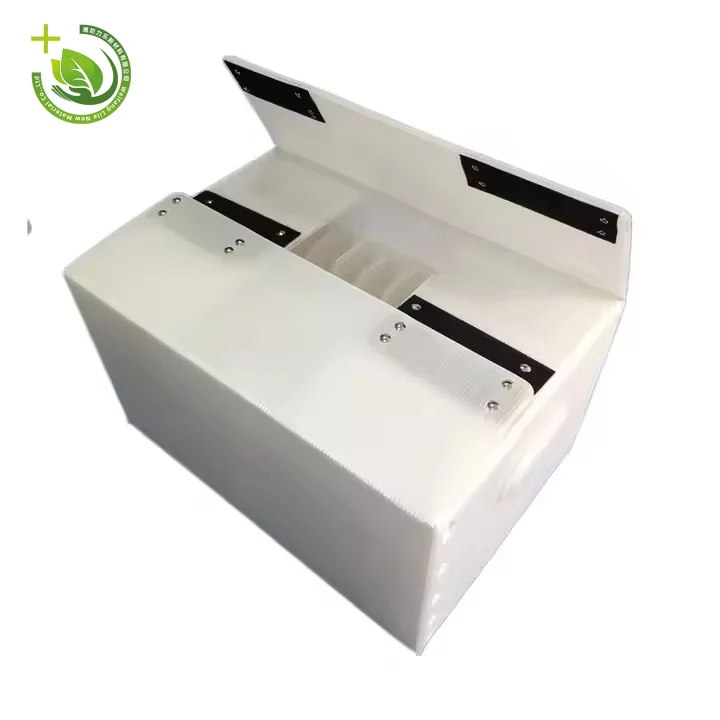 Folding Coroplast Archive Box - Customizable & Durable