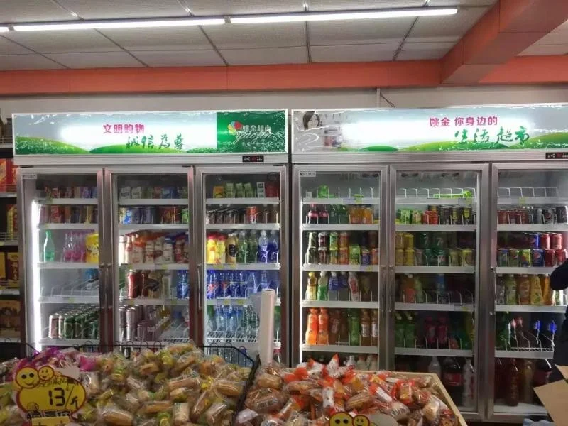 Double Door Supermarket Convenience Store Refrigerator Beverage Display ...