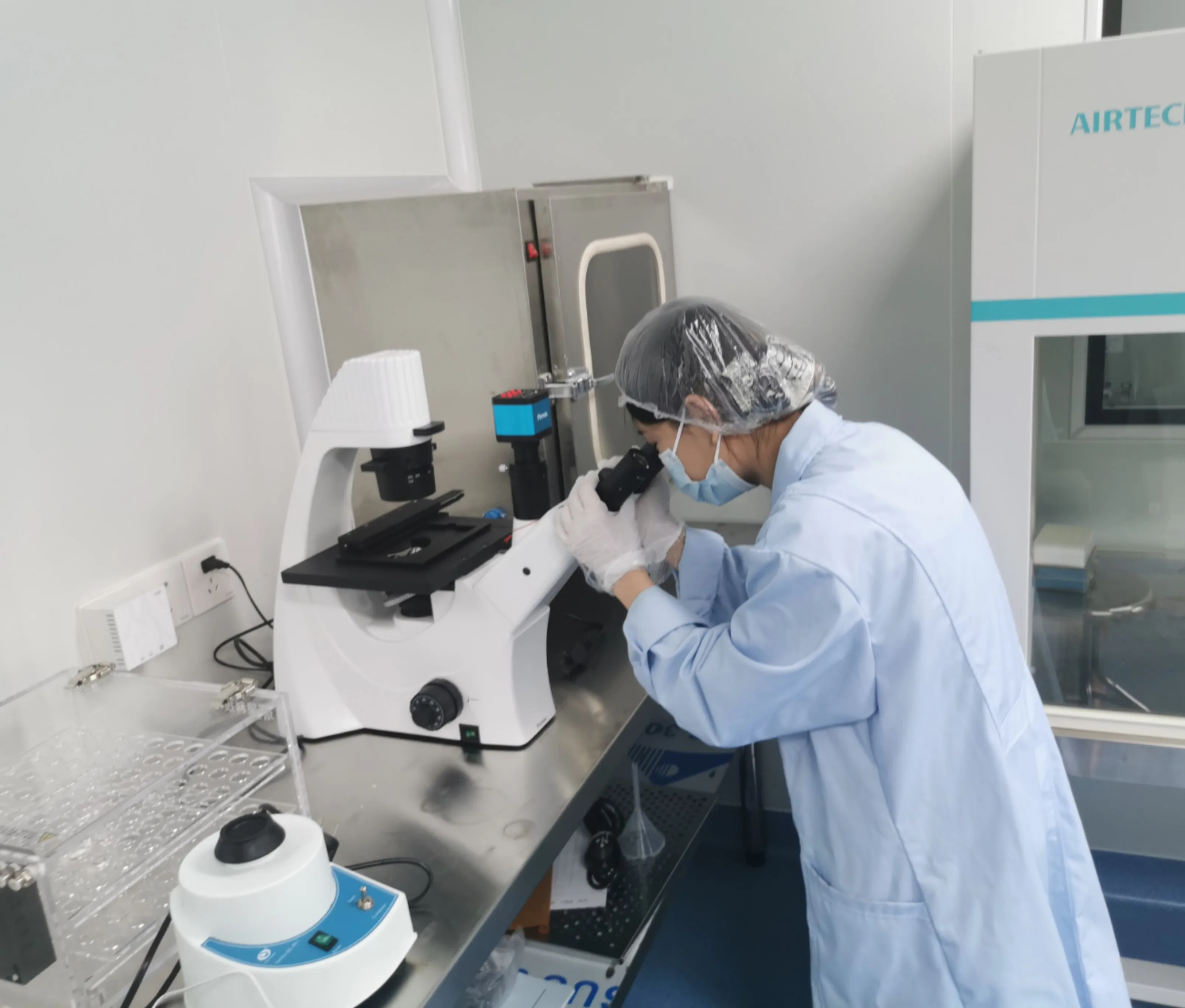 1 Kb Dna Ladder(500-12,000 Bp) For Dna Fragment Electrophoresis ...