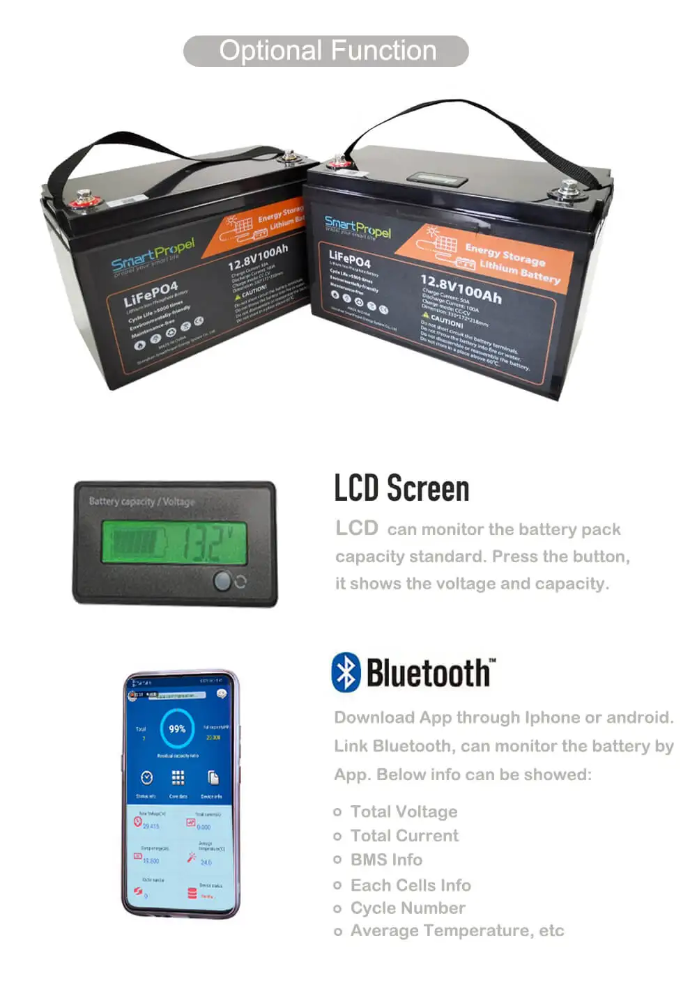 Smartpropel Battery Packs 12v100ah Outdoor Egergy Storage Battery Pack ...
