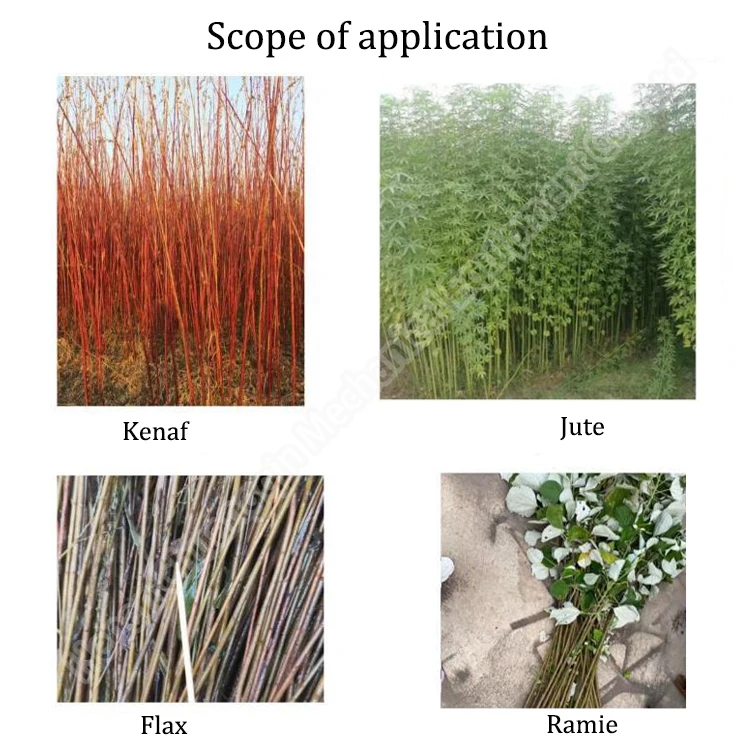 Philippines Abaca Fiber Decorticator - High Productivity