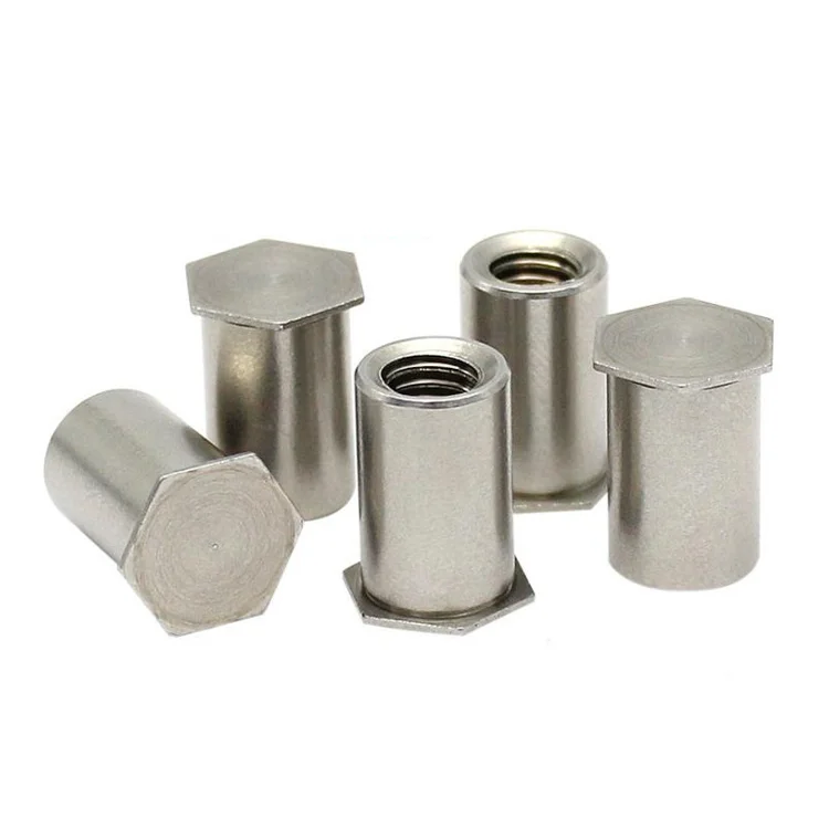 Stainless Steel Blind Threaded Fasteners For Sheet Metal - Oem
