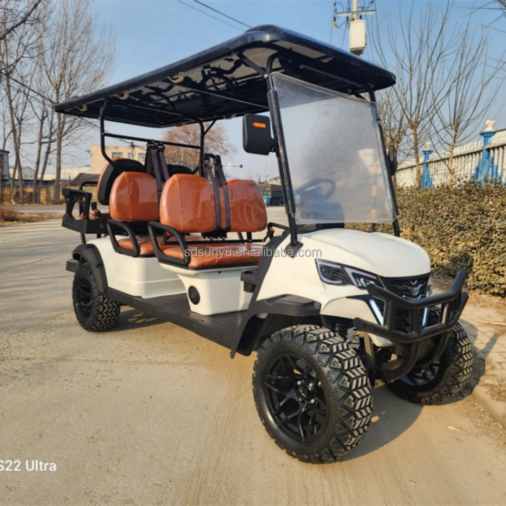 CE Certified Long Range Lithium Electric 4-Wheel Golf Buggy