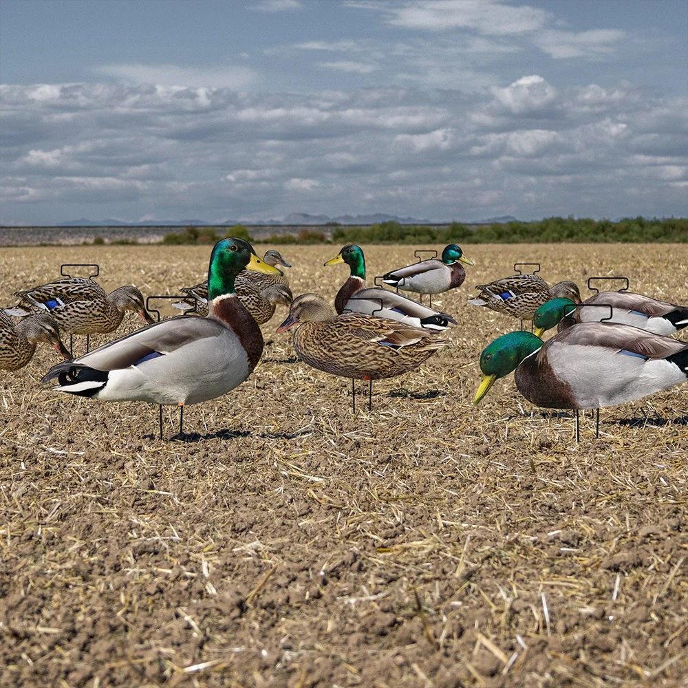 Lifelike Mallard Drake & Hen Silhouette Decoys for Hunting