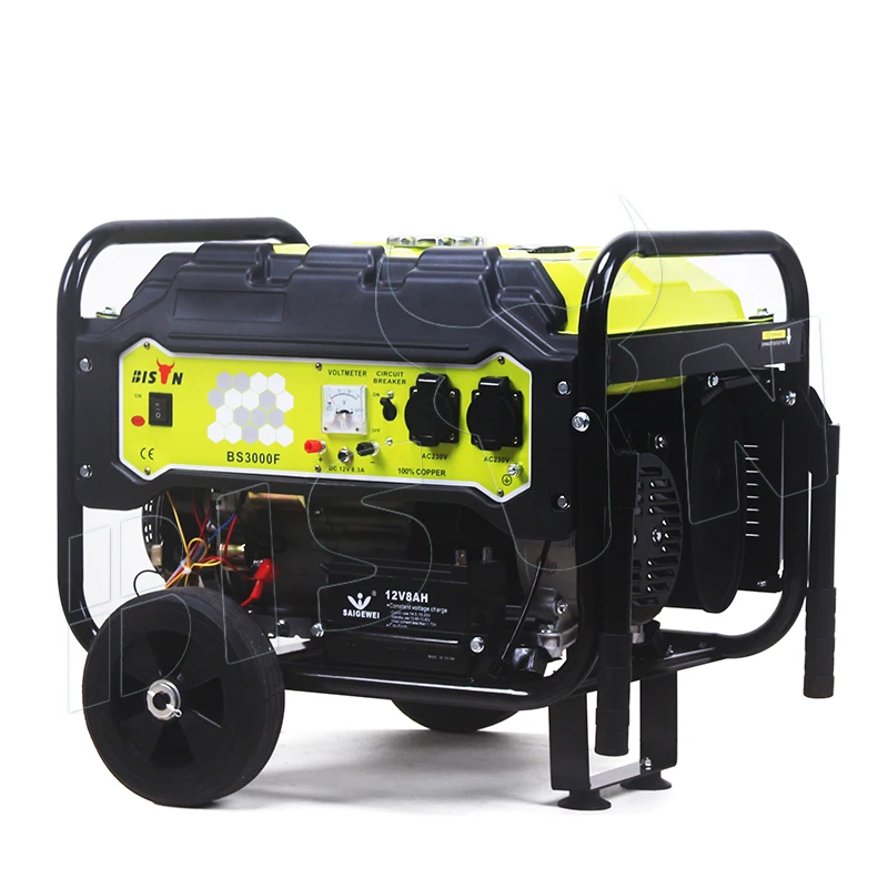 Bison 3kva Generator Petrol 3kw 3000w 3.3kw 3800w Gasoline Generator ...