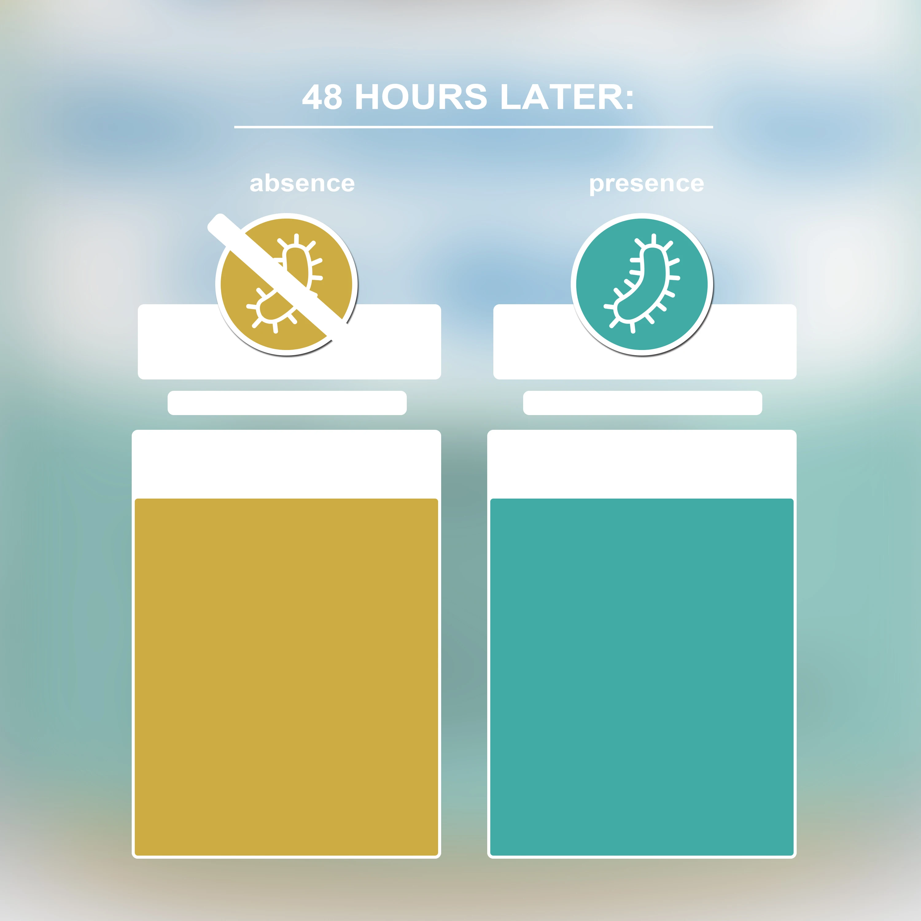 Coliform Bacteria Water Test Kit - Ensure Safe Drinking Water
